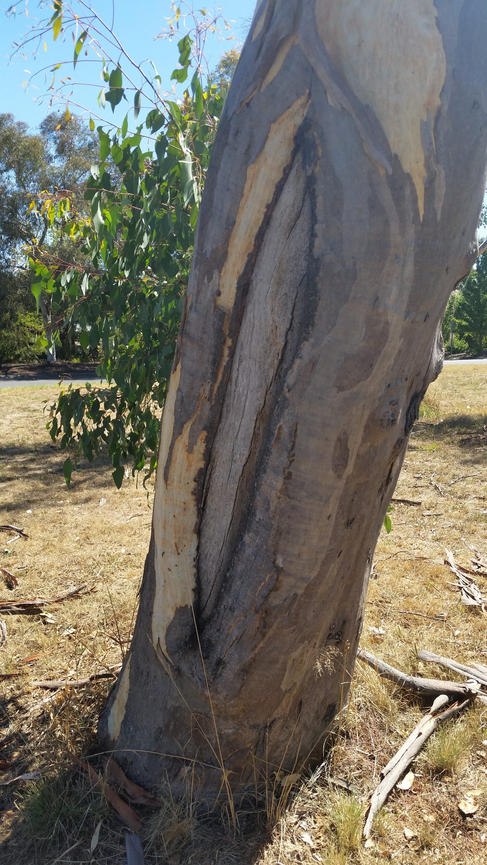 Aboriginal heritage sites in south Canberra – ANTaR ACT