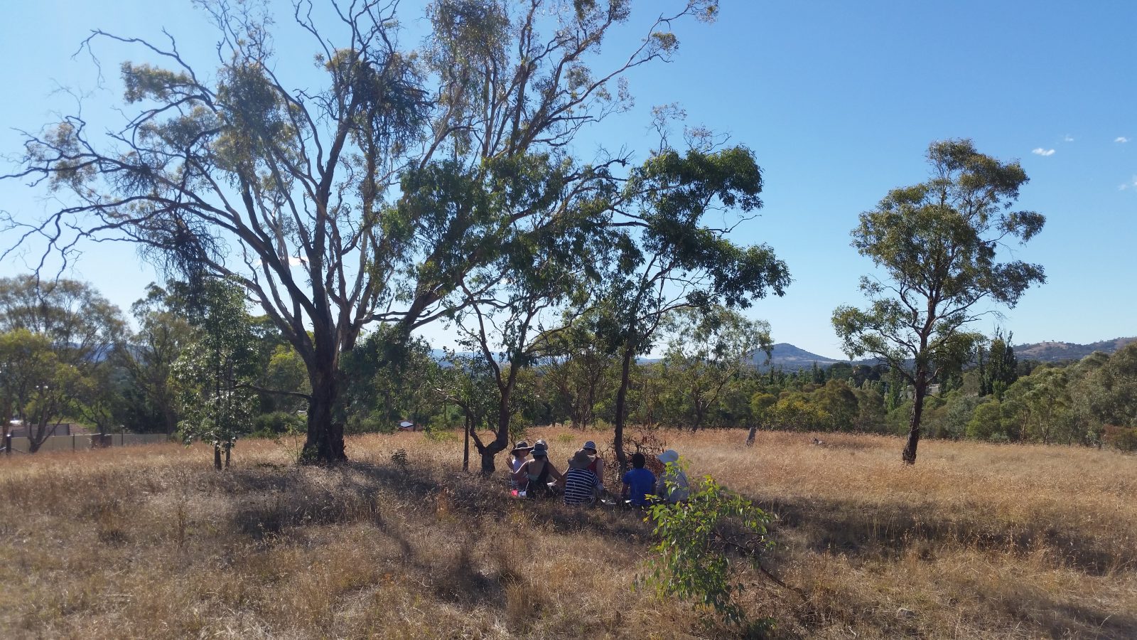 Aboriginal heritage sites in south Canberra – ANTaR ACT